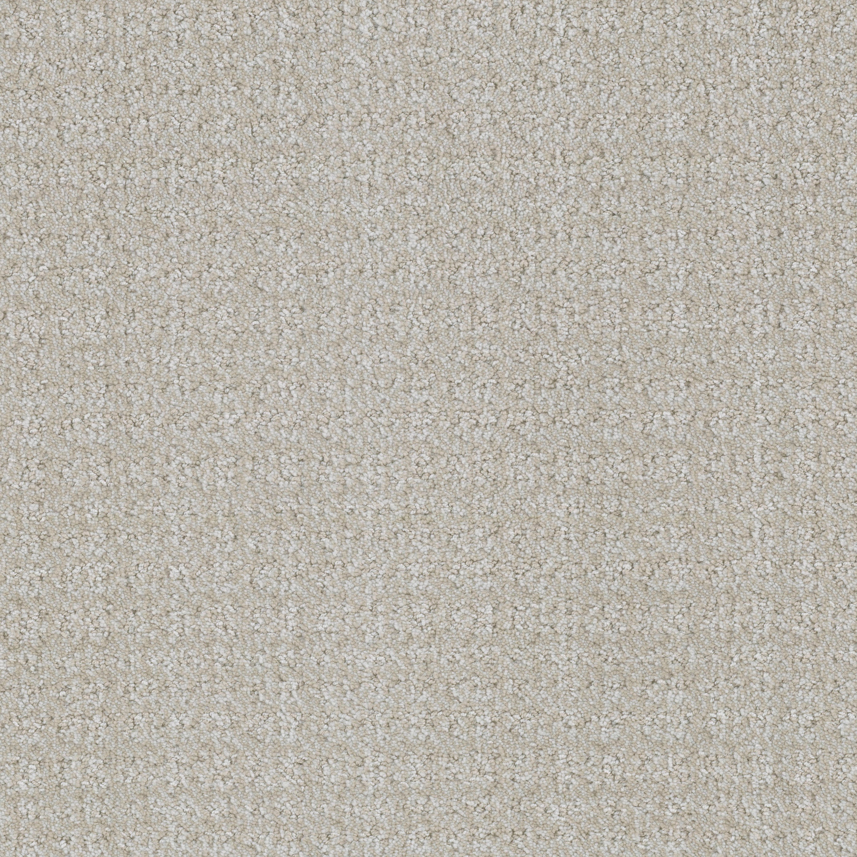 Purebred Carpet Flooring | Masland Carpets