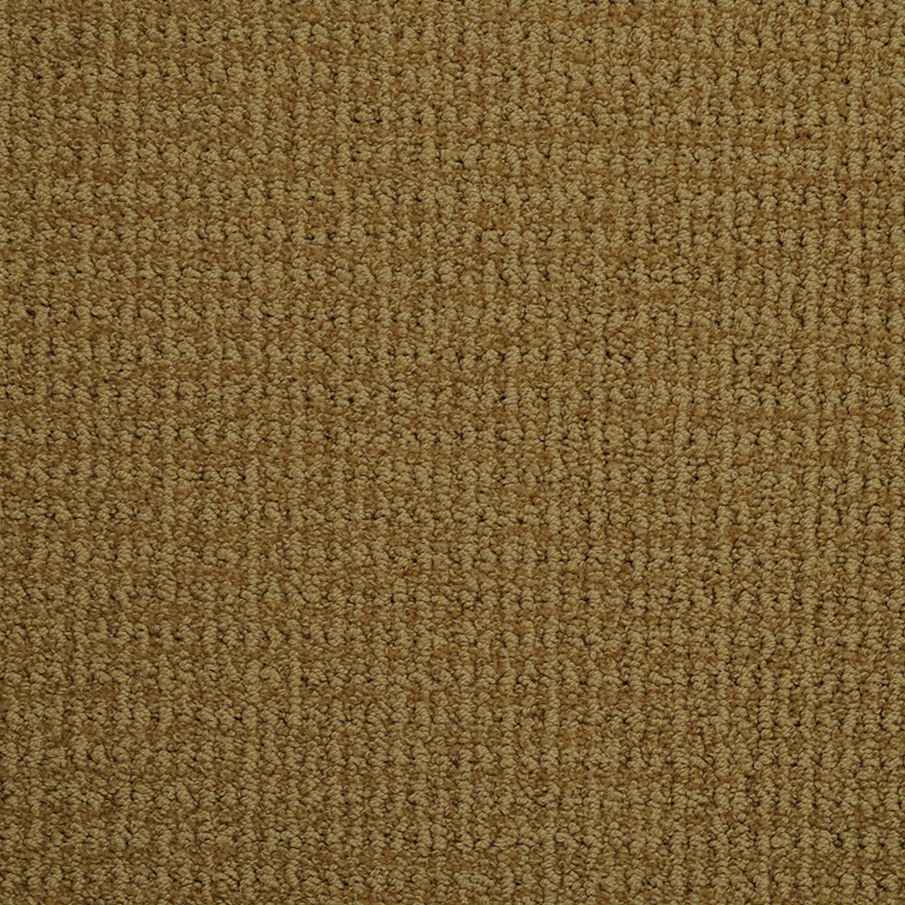 Sawgrass Carpet Flooring | Masland Carpets