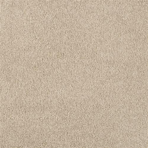 Carpet — Page 3 — Masland Carpets