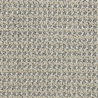 Tango Carpet Flooring | Masland Carpets