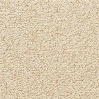 Madison Hill Carpet Flooring | Masland Carpets