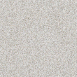 Boca Raton Carpet Flooring | Masland Carpets