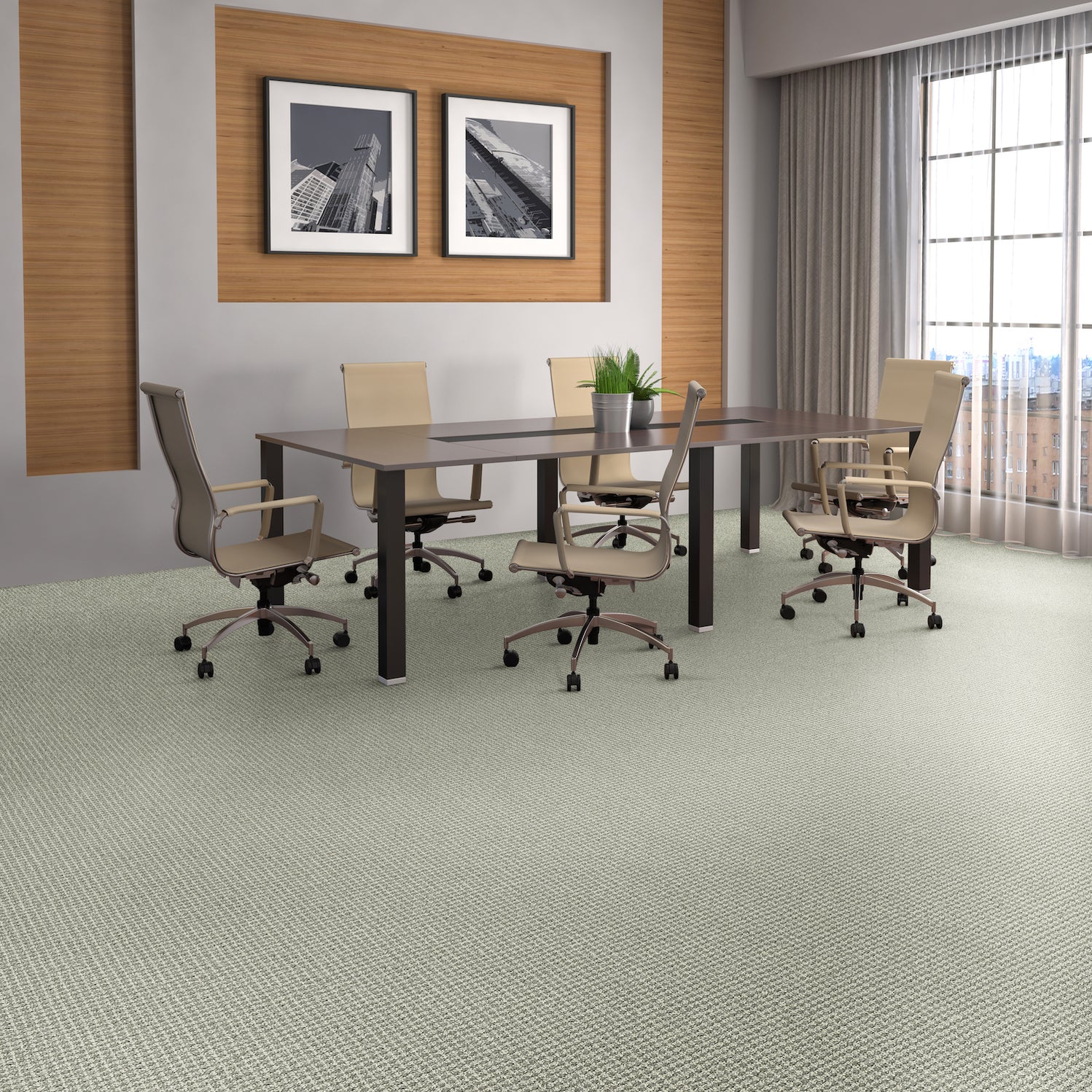 Alpha Carpet Flooring | Masland Carpets