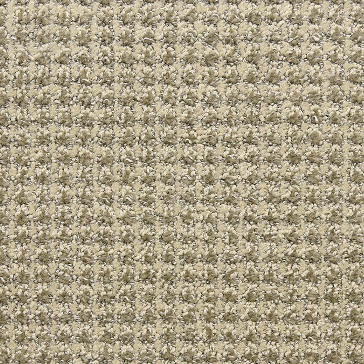 Carpet — Masland Carpets