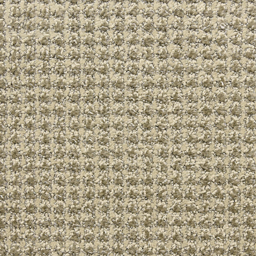 Alpha Carpet Flooring | Masland Carpets
