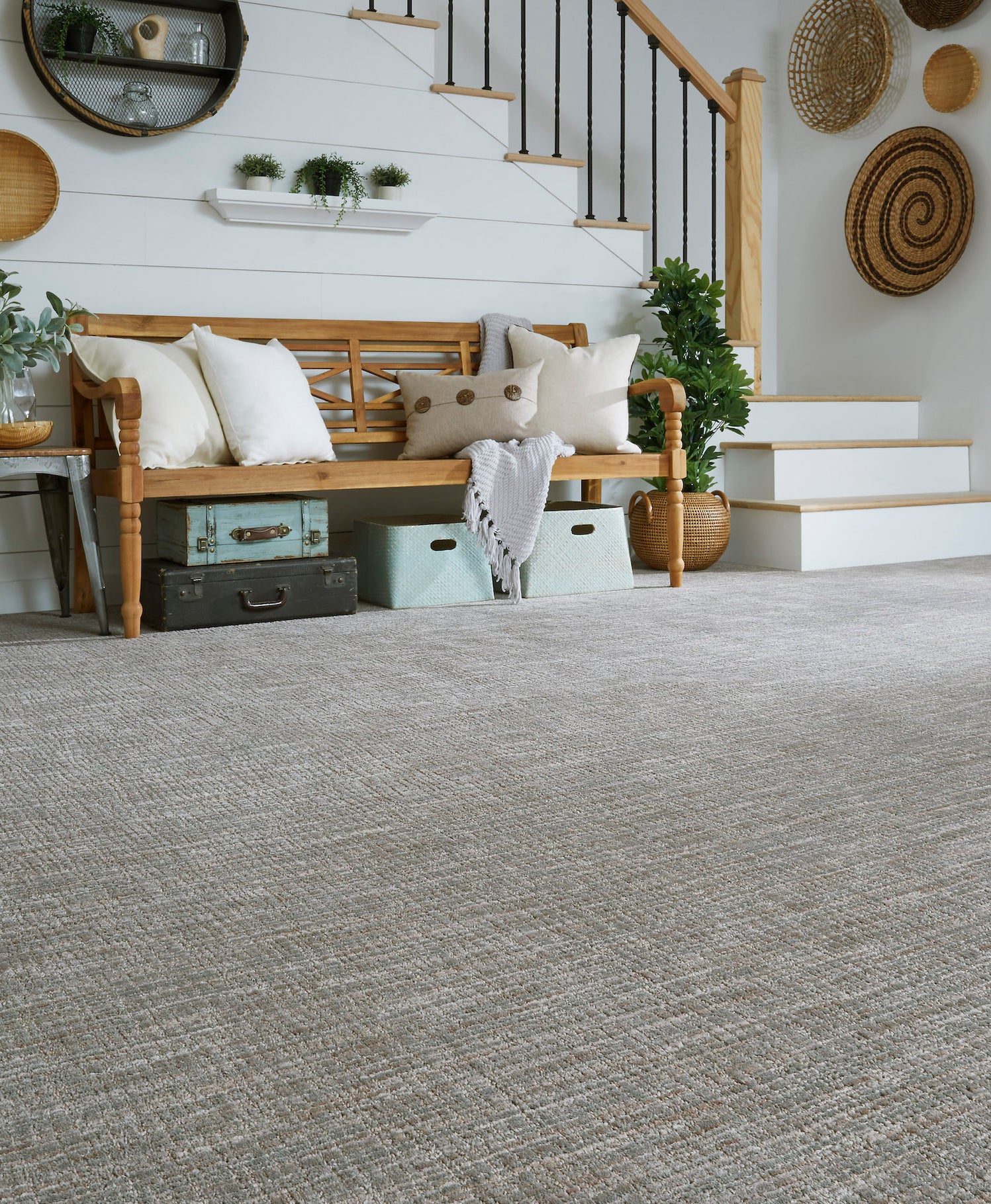 Grace Carpet Flooring | Masland Carpets