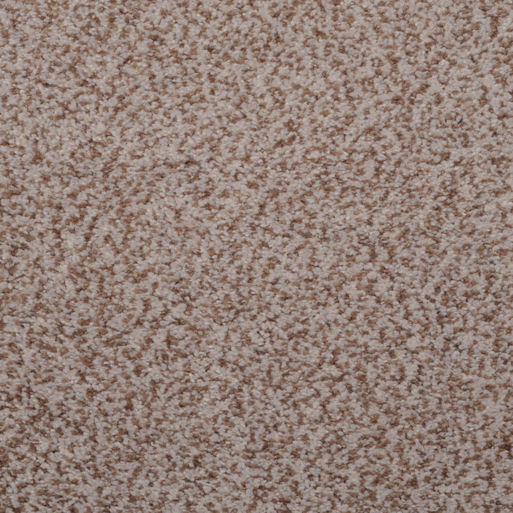 Stonewall Carpet Flooring | Masland Carpets