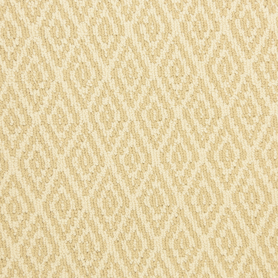 Carpet — Page 3 — Masland Carpets