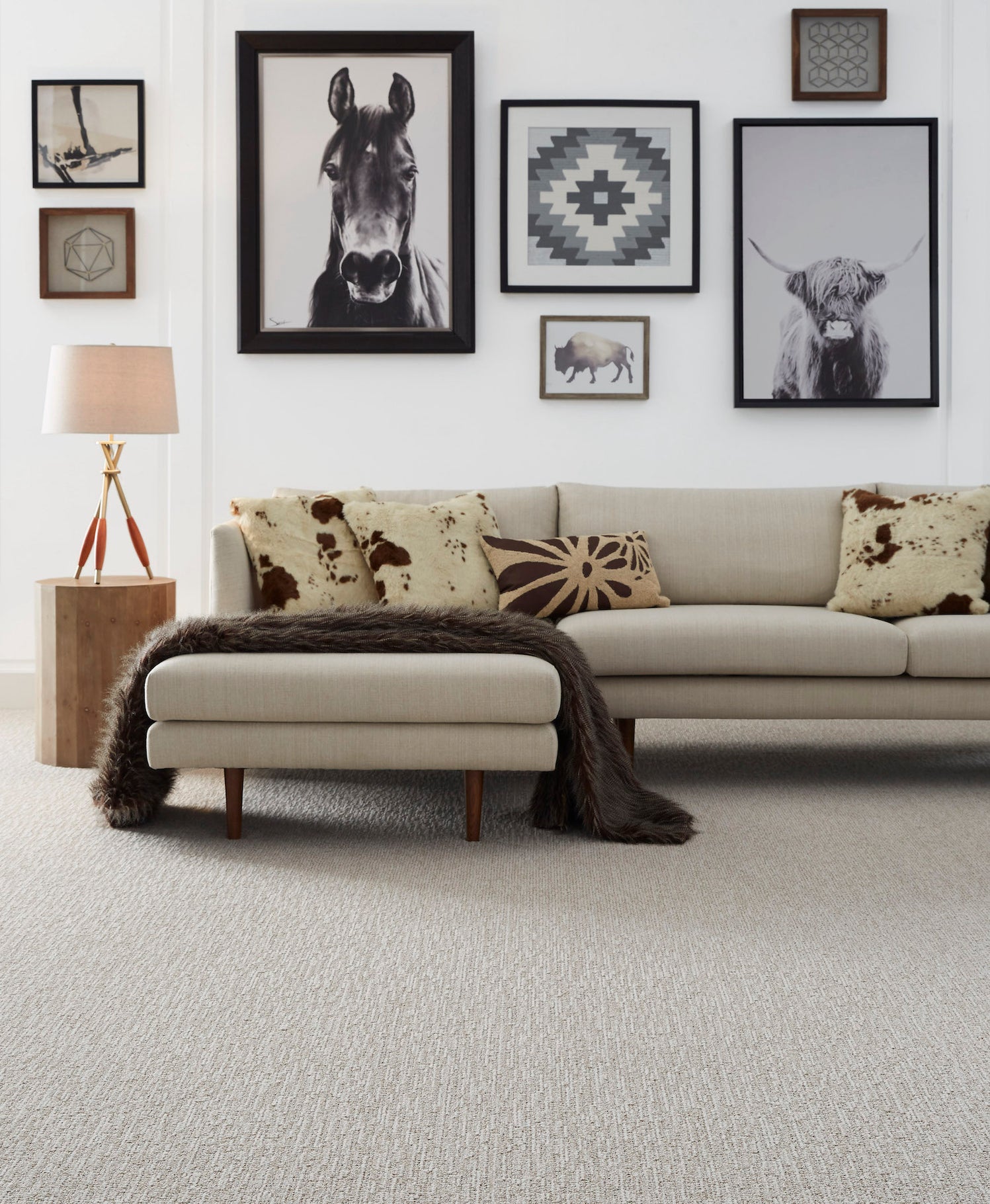 Mesa Bella Carpet Flooring | Masland Carpets
