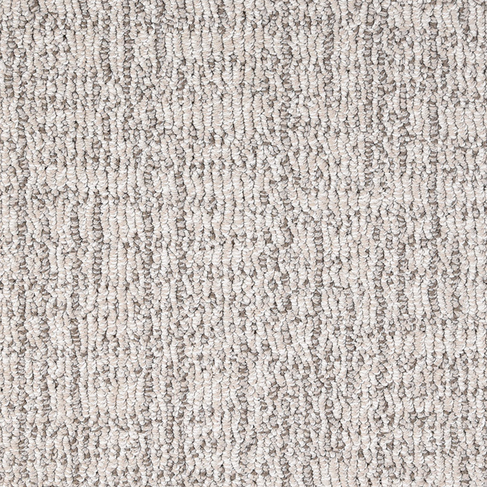Modern Mesh Carpet Flooring | Masland Carpets