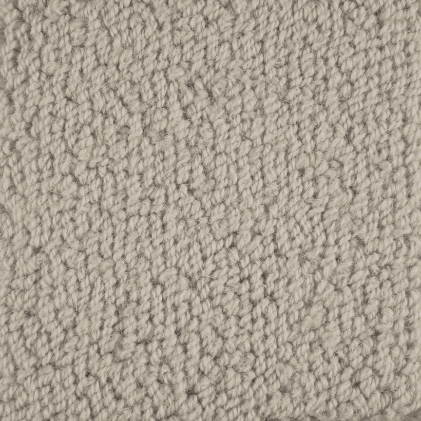 Novellino Carpet Flooring | Masland Carpets