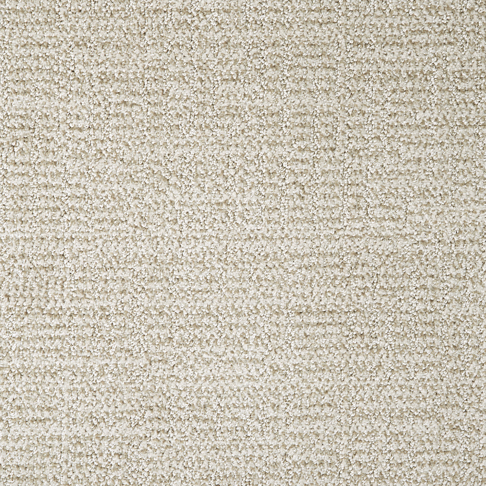 Nueva Vista Carpet Flooring | Masland Carpets