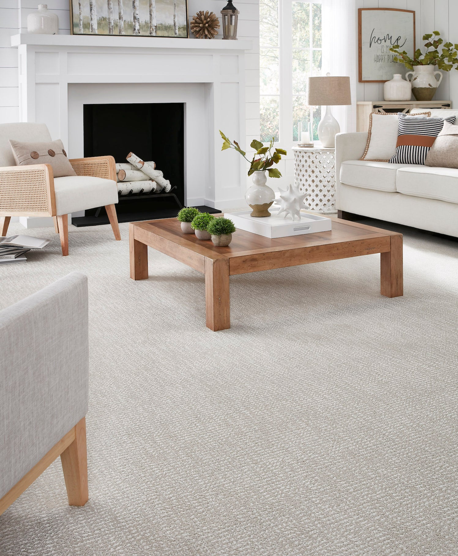 Pedigree Carpet Flooring | Masland Carpets
