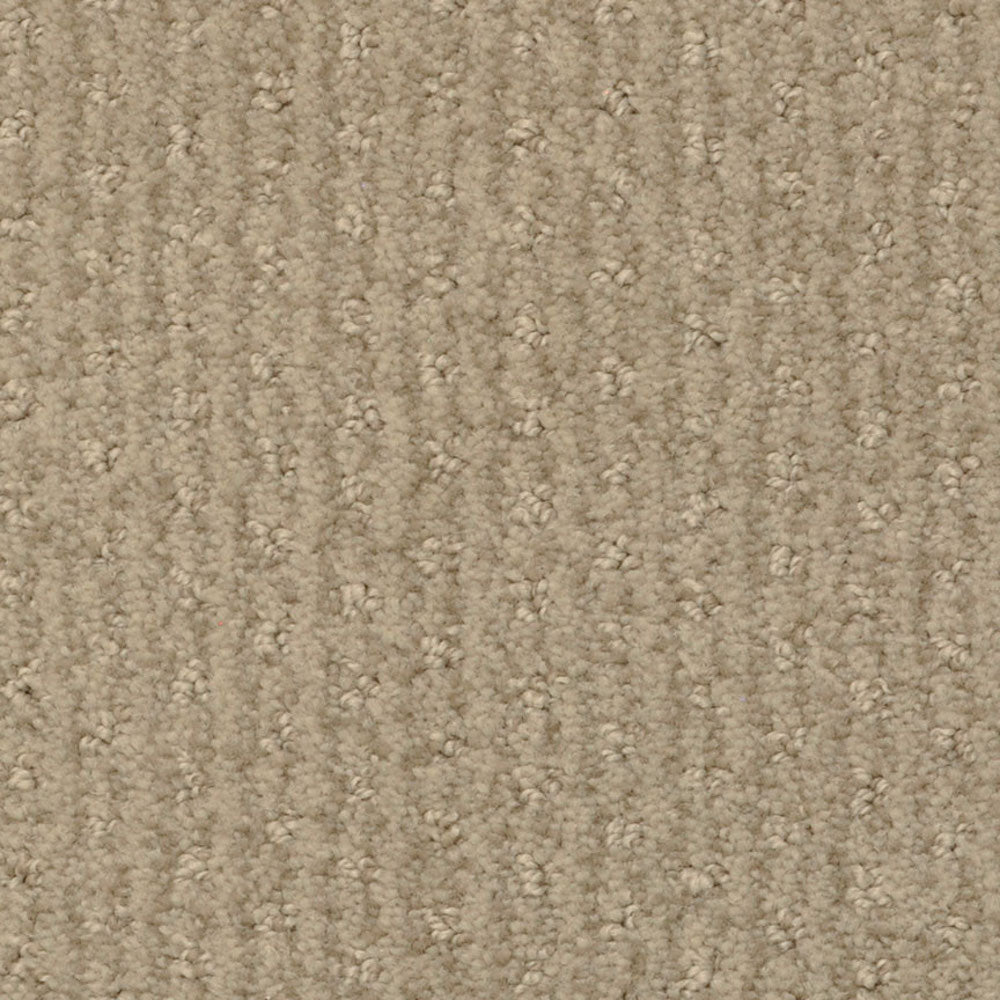 Distinctive Touch Carpet Flooring | Masland Carpets
