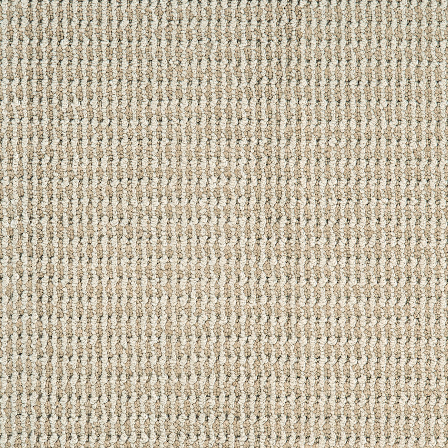 Bandala Jazzed Carpet Flooring | Masland Carpets