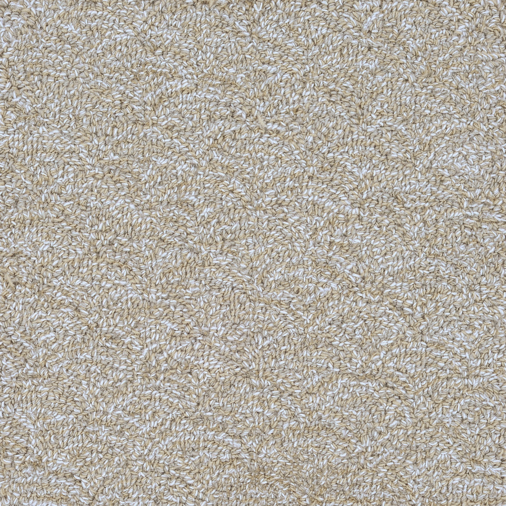 Area Rugs — Masland Carpets