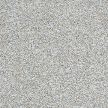 Area Rugs — Masland Carpets