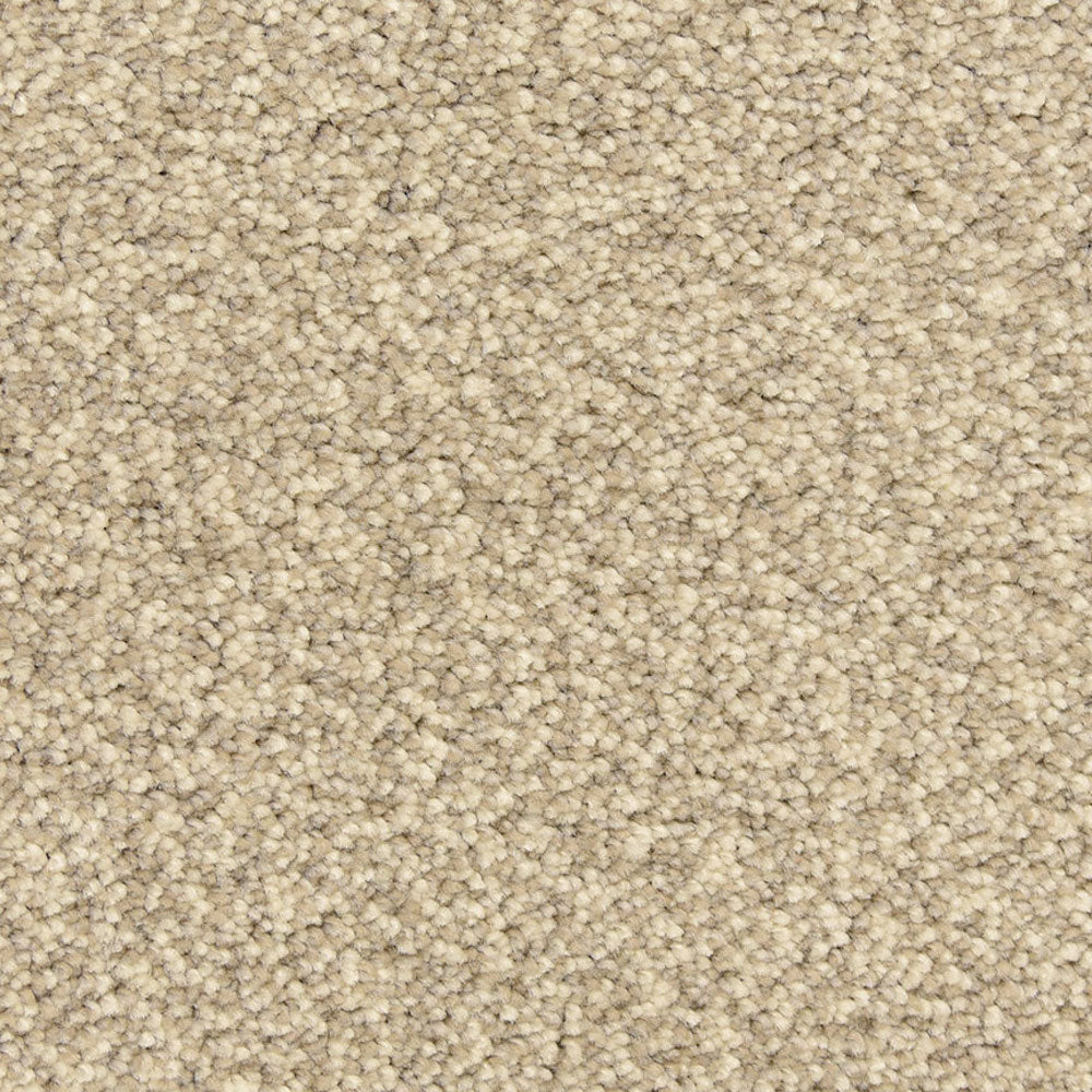 Classical Carpet Flooring | Masland Carpets