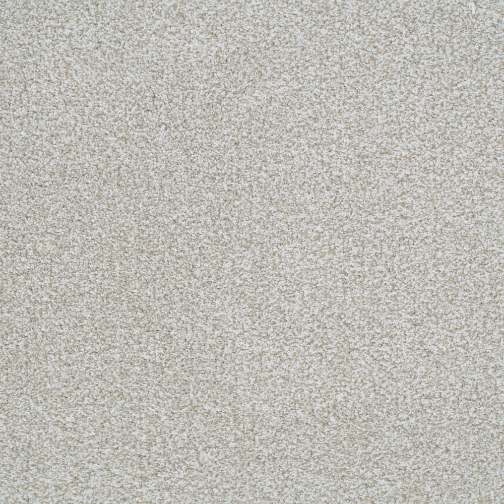 Sunset Key Carpet Flooring | Masland Carpets