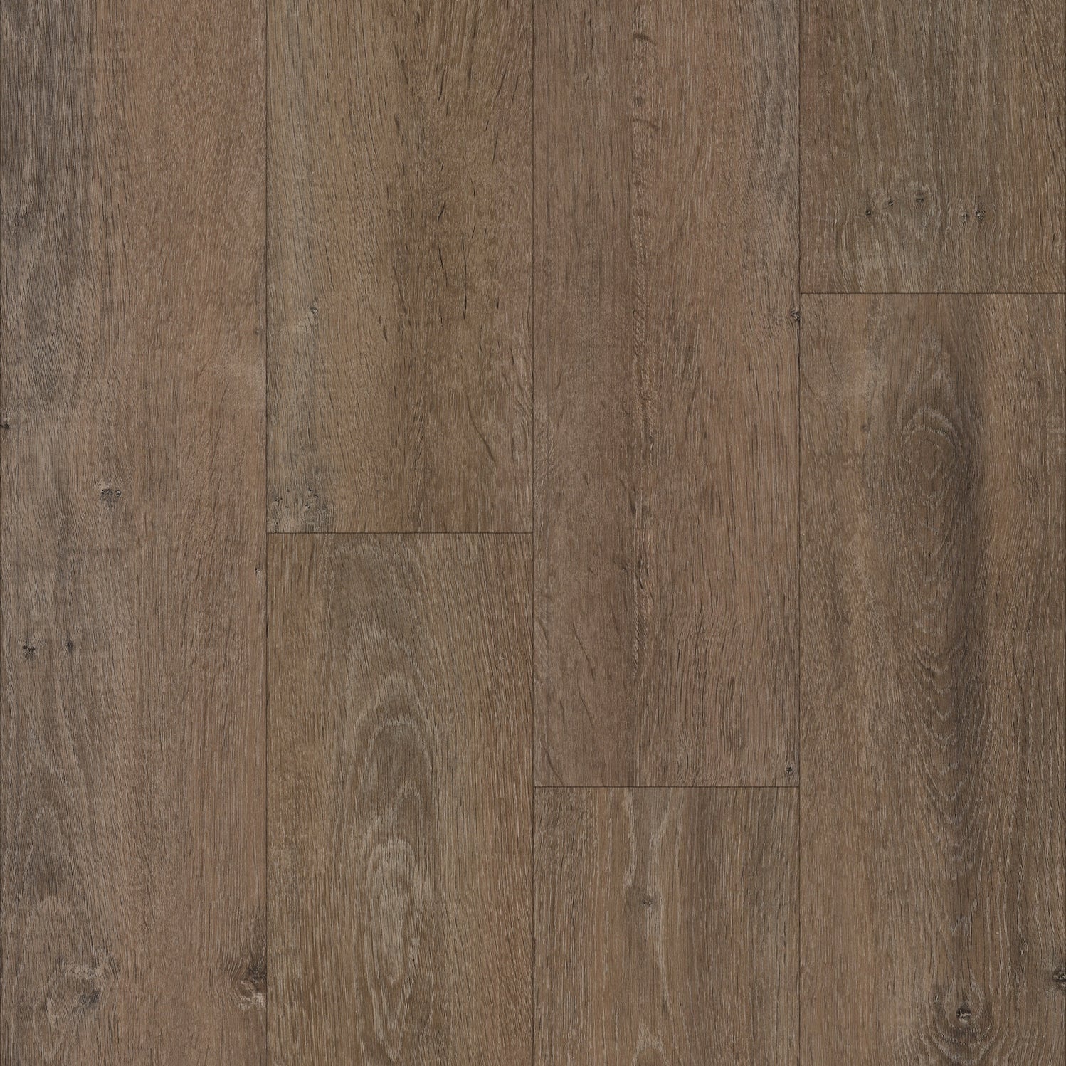 Prime Luxury Vinyl Flooring in Blossom Oak | TRUCOR — Masland Carpets