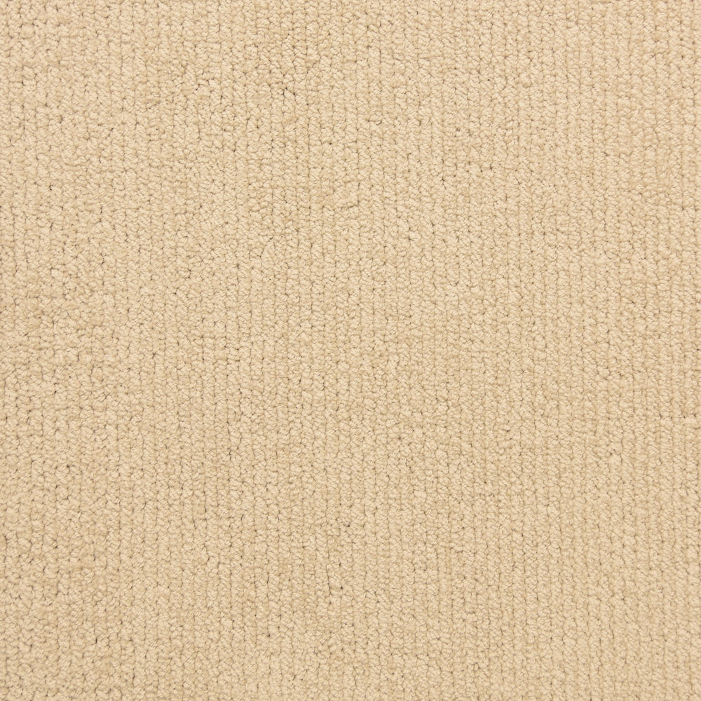 Tinseltown Carpet Flooring | Masland Carpets