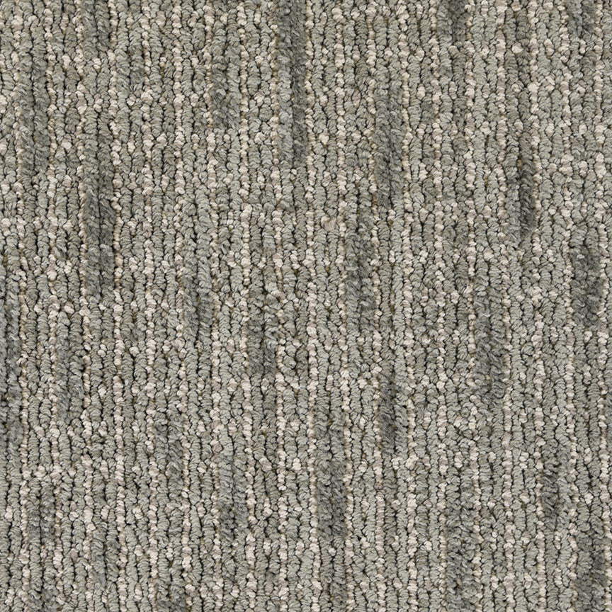 Zander Carpet Flooring | Masland Carpets