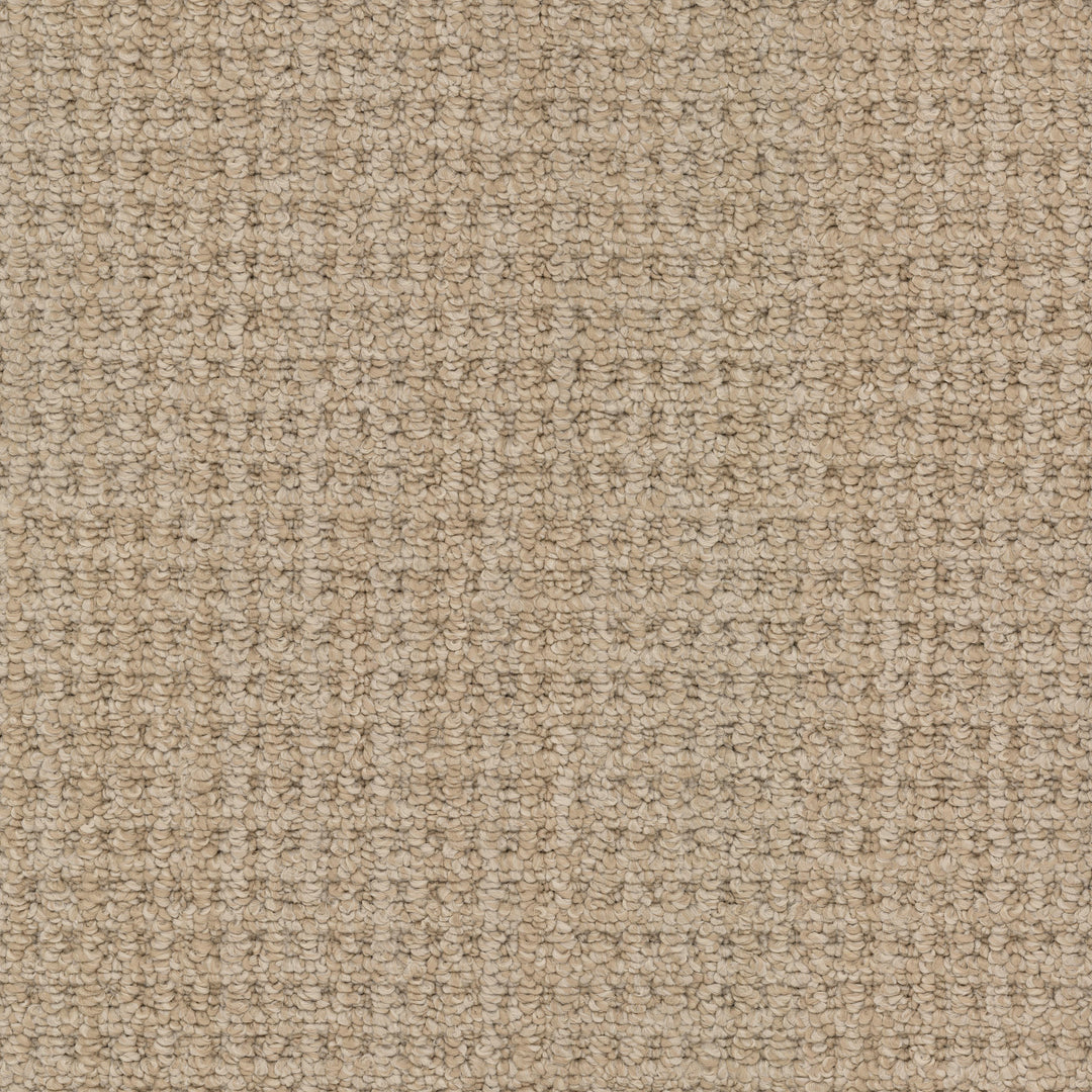 Carpet — Page 5 — Masland Carpets